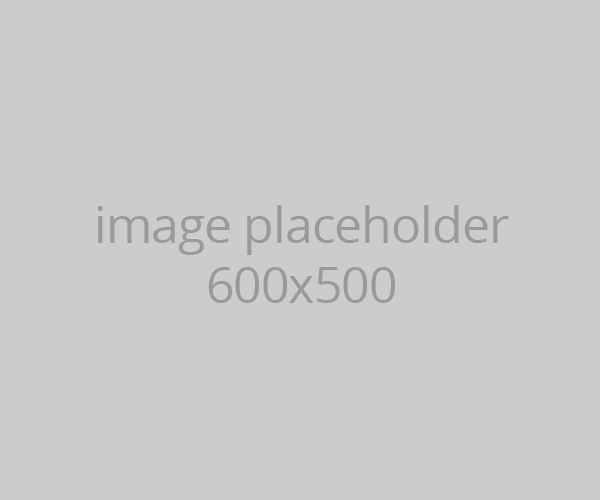 600×500-placeholder | Smart Start & The North Carolina Partnership for ...
